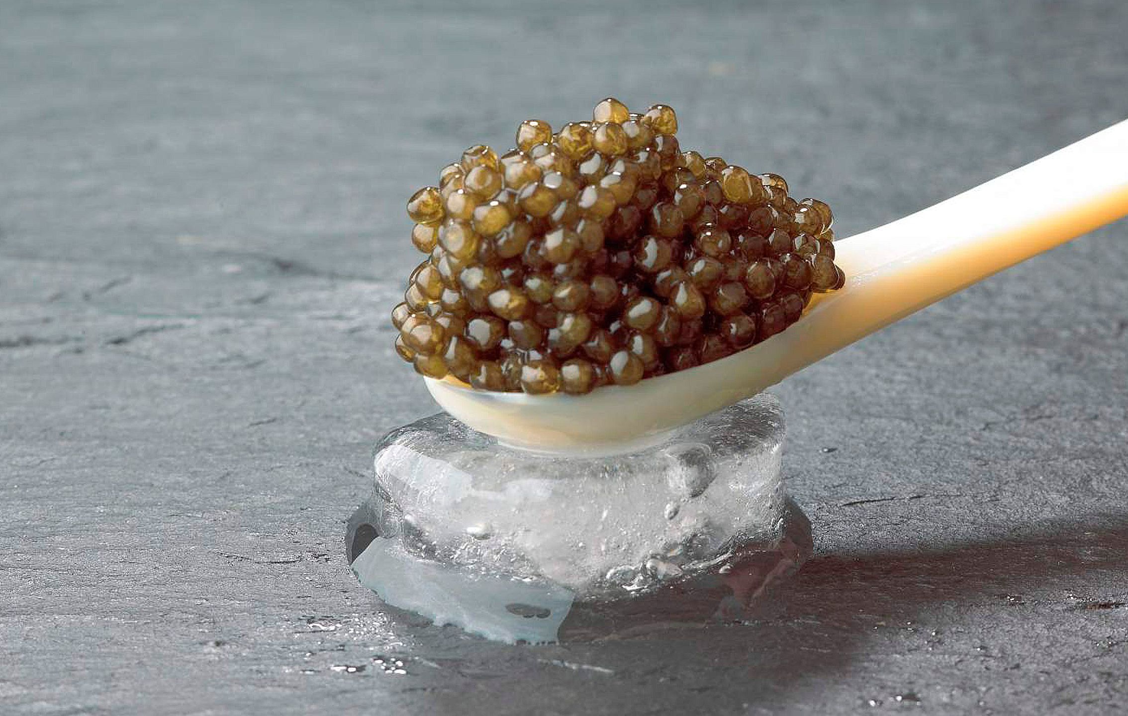 Planet Caviar - Spécialiste du Caviar et Saumons fumés - Genève ...